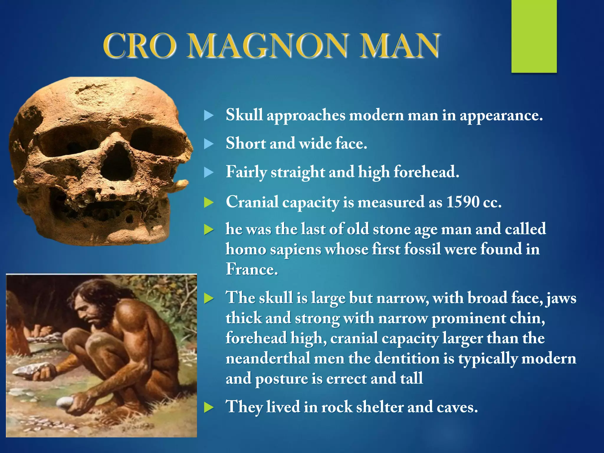 Evolution of man(palaeontological evidence) | PDF