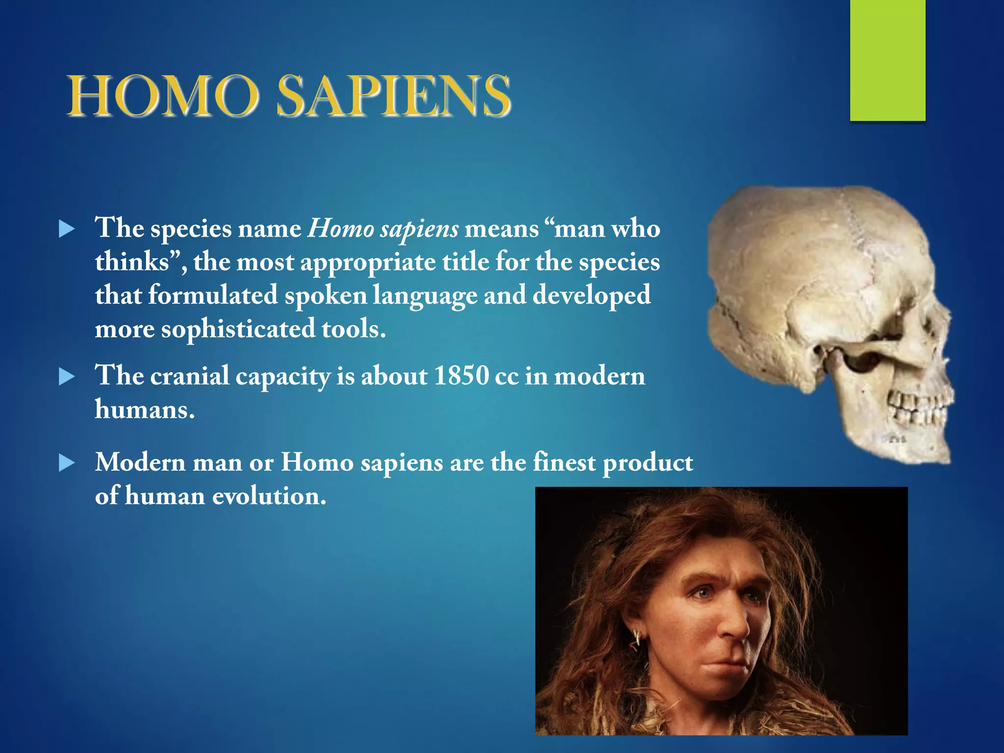 Evolution of man(palaeontological evidence) | PDF