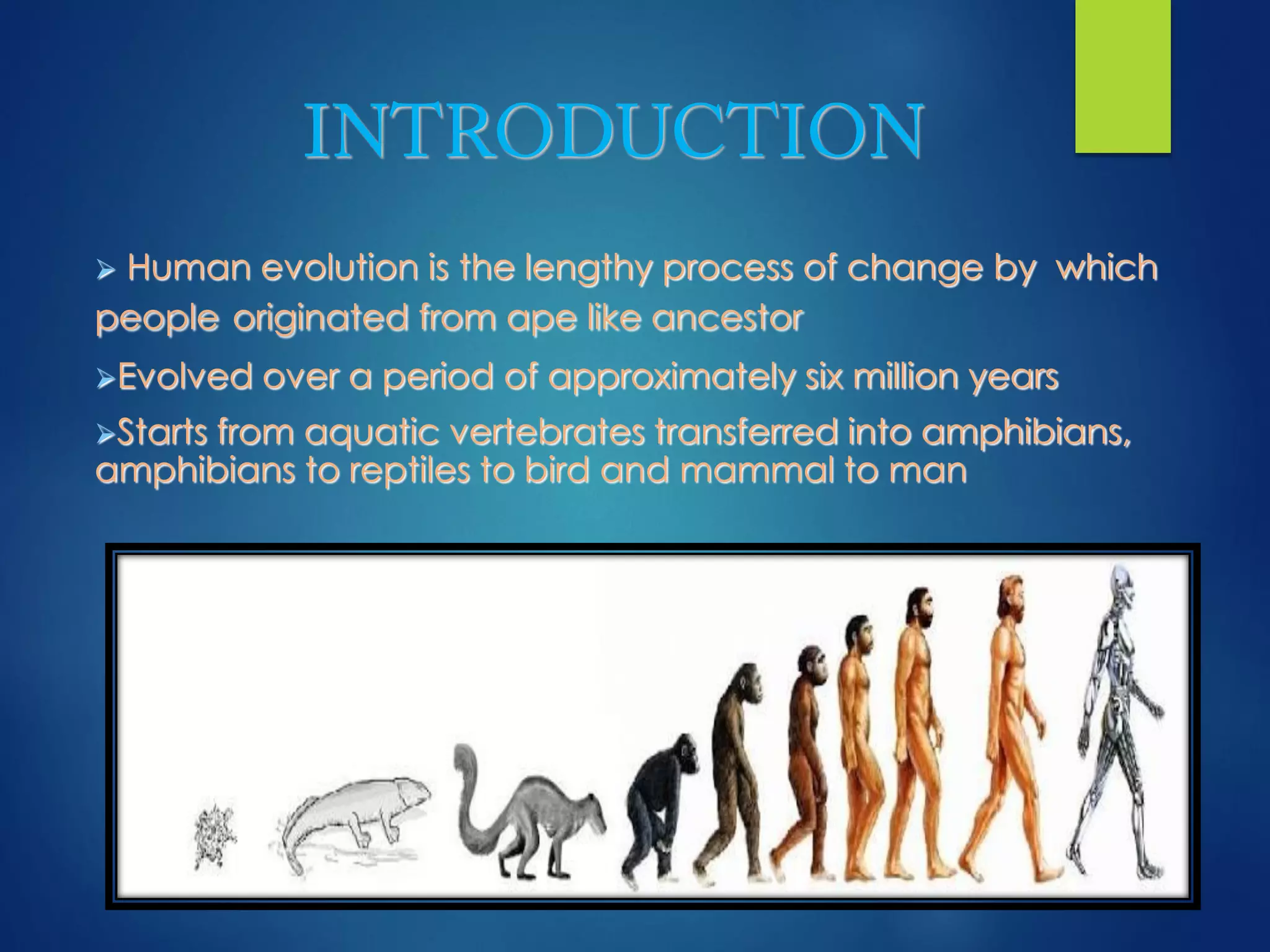 Evolution of man(palaeontological evidence) | PDF