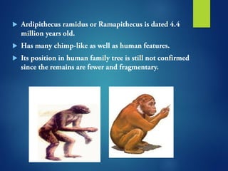 Evolution of man(palaeontological evidence) | PDF