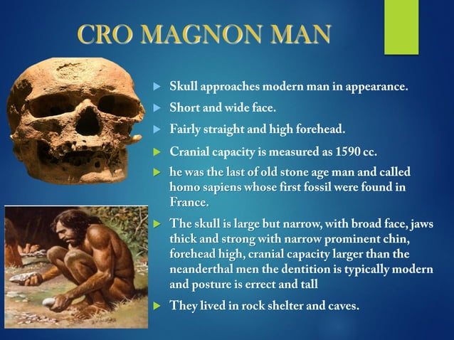 Evolution of man(palaeontological evidence) | PDF | Geology | Science