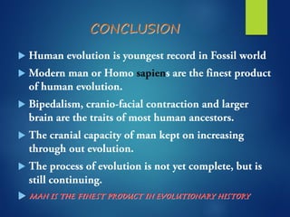 Evolution of man(palaeontological evidence) | PDF