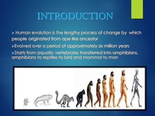 Evolution of man(palaeontological evidence) | PDF