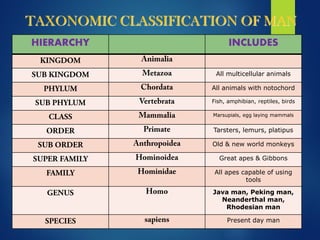 Evolution of man(palaeontological evidence) | PDF