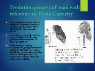 Evolution of man(palaeontological evidence) | PDF
