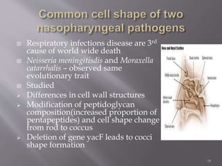 Evolution of Pathogens | PPTX