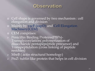 Evolution of Pathogens | PPTX