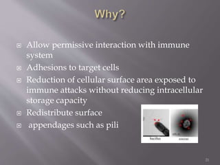 Evolution of Pathogens | PPTX