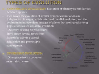 Evolution of Pathogens | PPTX