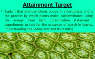 Evolution of Photosynthesis Equation (Chlorophyll) (1).pptx