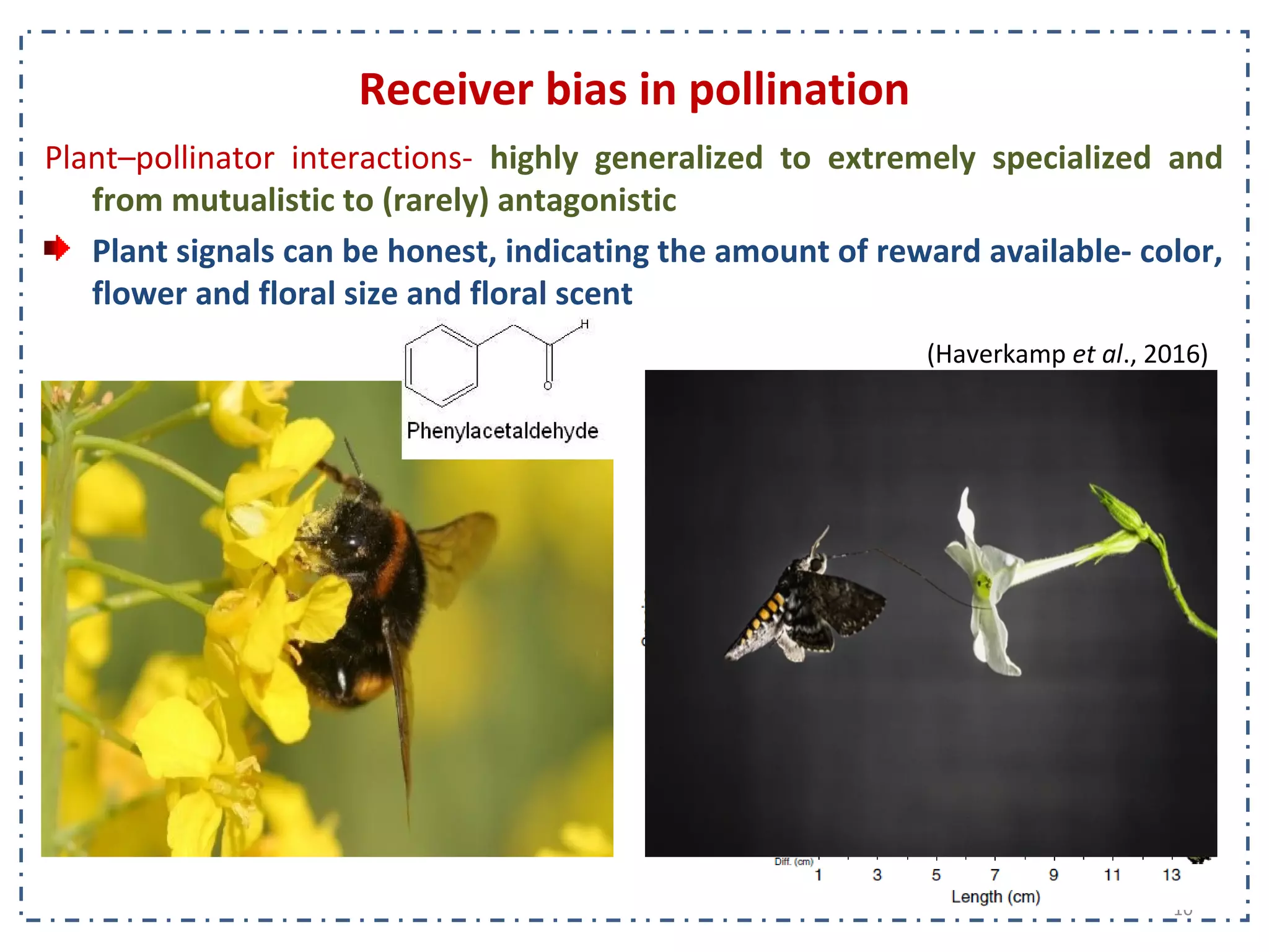 Evolution of plant animal interaction via receiver bias | PPT