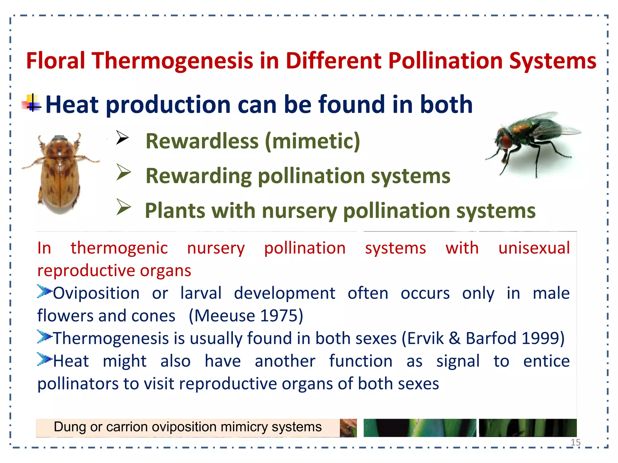 Evolution of plant animal interaction via receiver bias | PPT