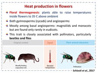 Evolution of plant animal interaction via receiver bias | PPT