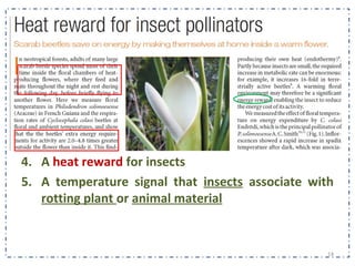 Evolution of plant animal interaction via receiver bias | PPT