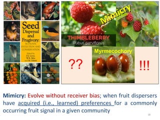 Evolution of plant animal interaction via receiver bias | PPT