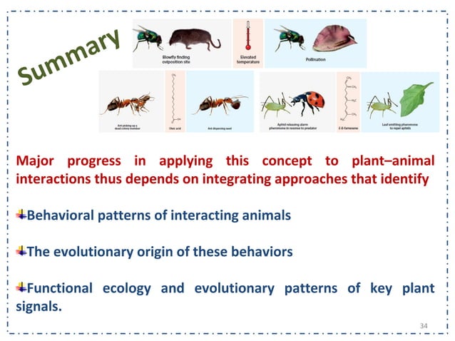 Evolution of plant animal interaction via receiver bias | PPT