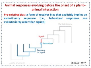 Evolution of plant animal interaction via receiver bias | PPT