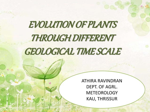 Evolution of plants through different geological time scale | PPTX ...