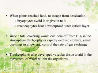 Evolution of plants through different geological time scale | PPTX