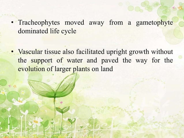 Evolution of plants through different geological time scale | PPTX ...