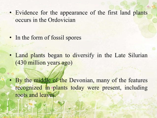 Evolution of plants through different geological time scale | PPTX ...