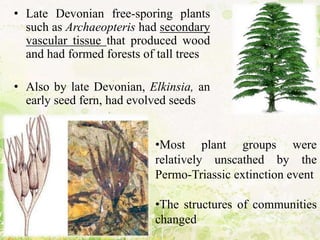 Evolution of plants through different geological time scale | PPTX
