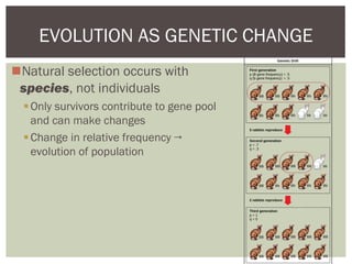 Evolution of populations | PPT
