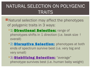 Evolution of populations | PPT
