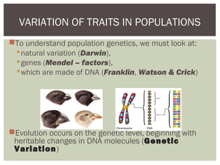 Evolution of populations | PPT