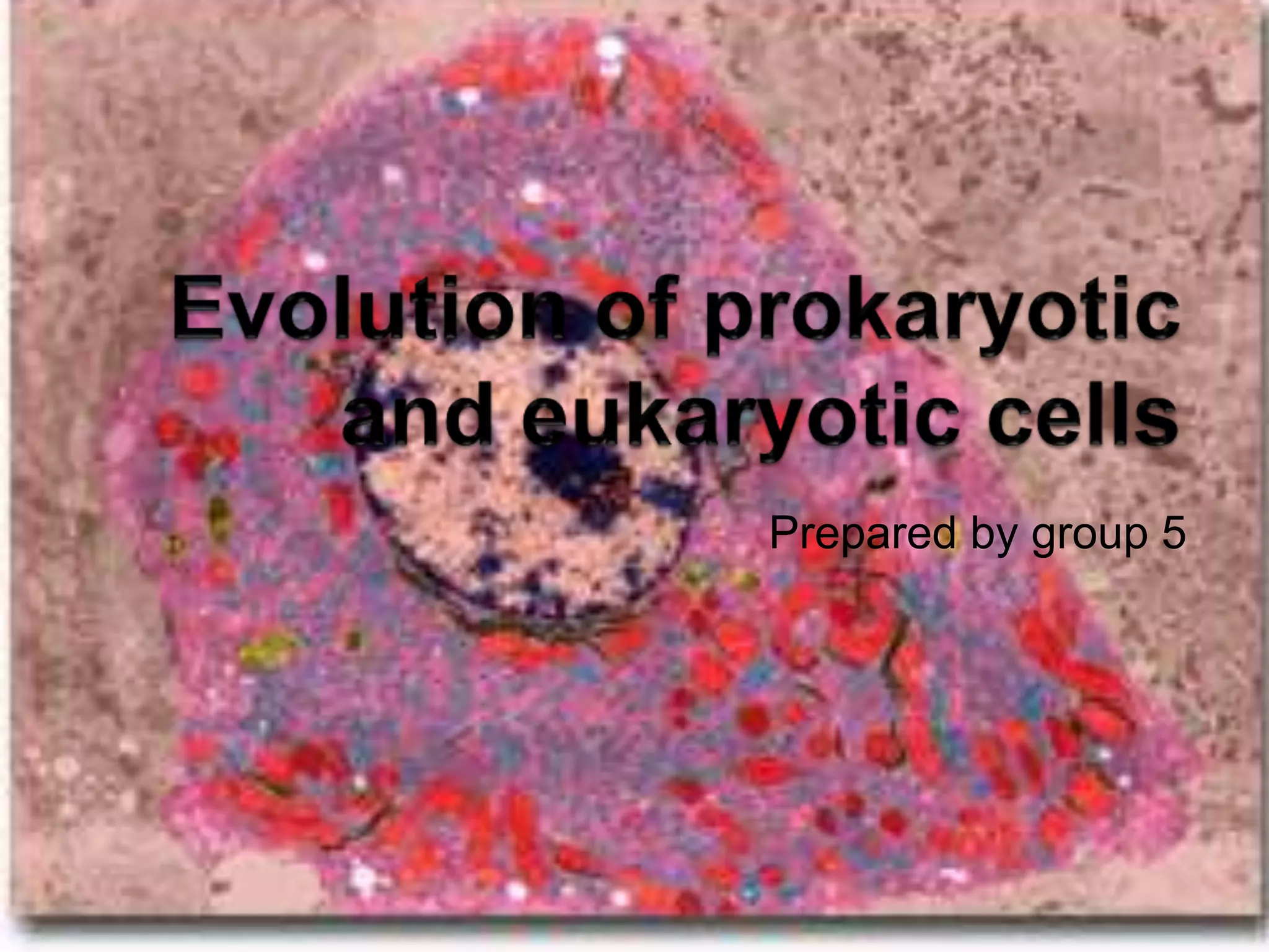 Evolution of prokaryotic and eukaryotic cells | PPT