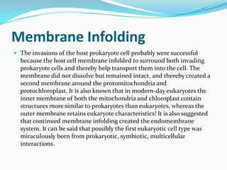 Evolution of prokaryotic and eukaryotic cells | PPTX