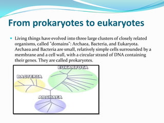 Evolution of prokaryotic and eukaryotic cells | PPTX