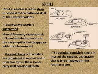 Evolution of reptiles | PPTX