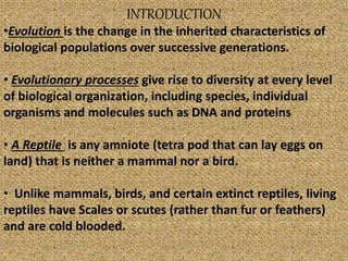 Evolution of reptiles | PPTX