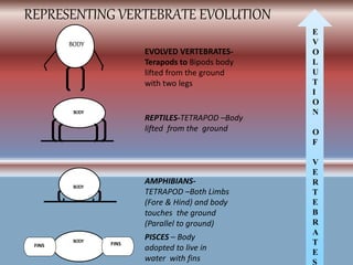 Evolution of reptiles | PPTX