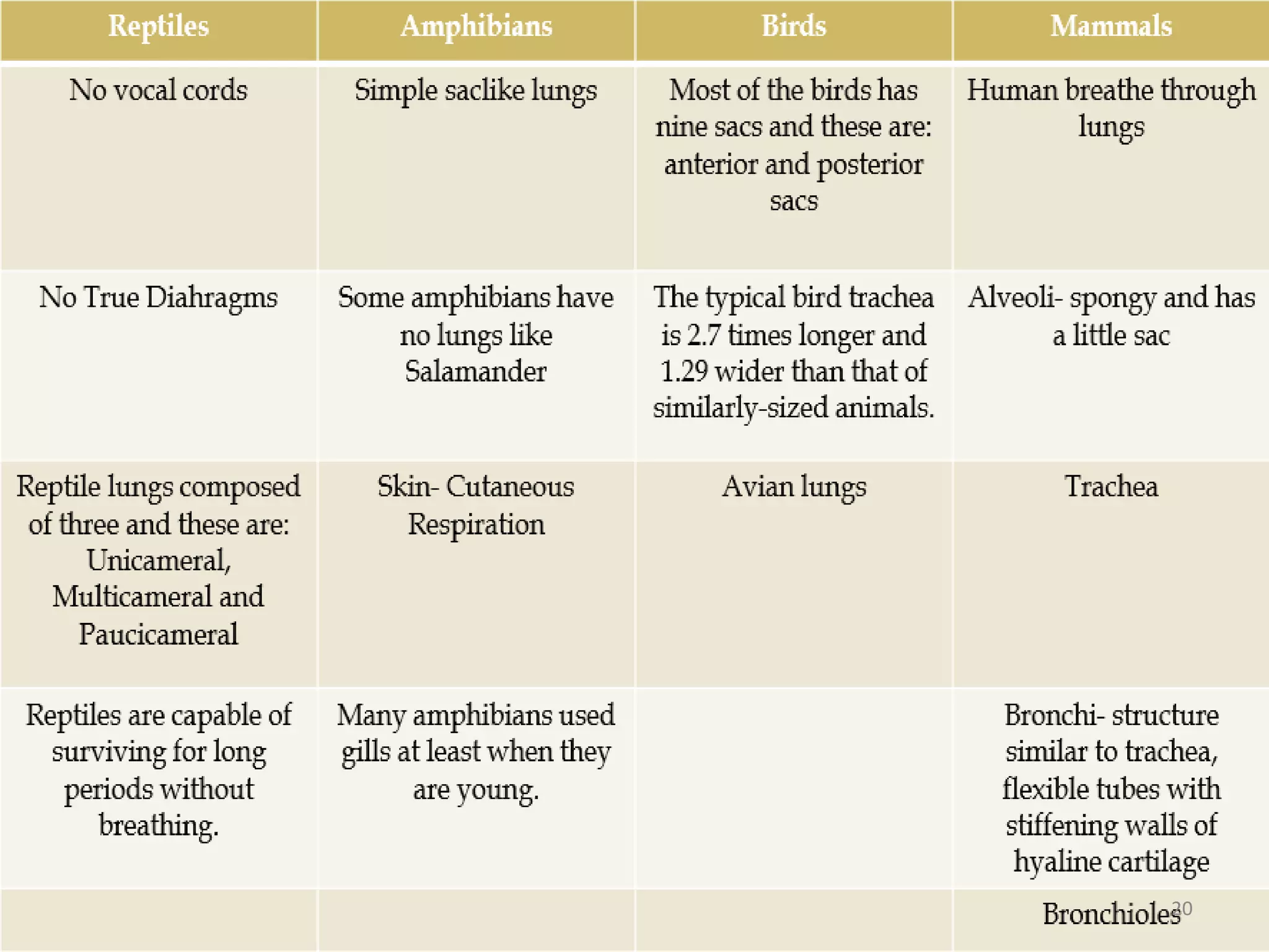 EVOLUTION OF RESPIRATORY SYSTEM | PPTX