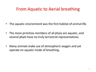 EVOLUTION OF RESPIRATORY SYSTEM | PPTX