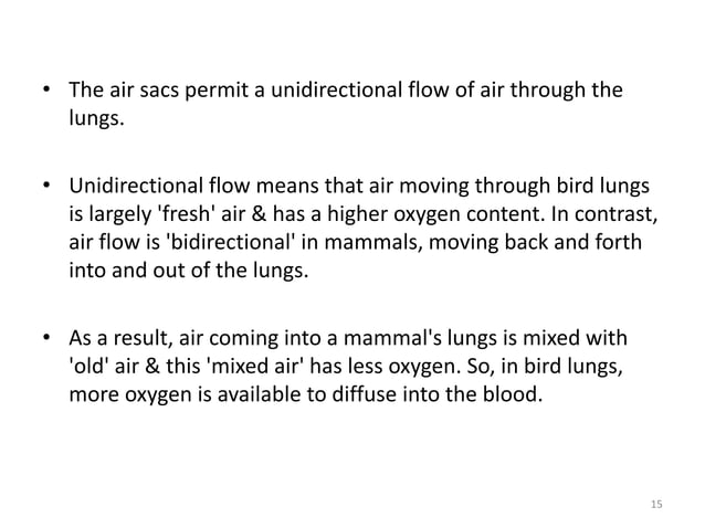 EVOLUTION OF RESPIRATORY SYSTEM | PPTX | Lung and Respiratory Health ...