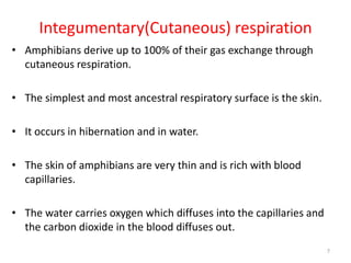 EVOLUTION OF RESPIRATORY SYSTEM | PPTX