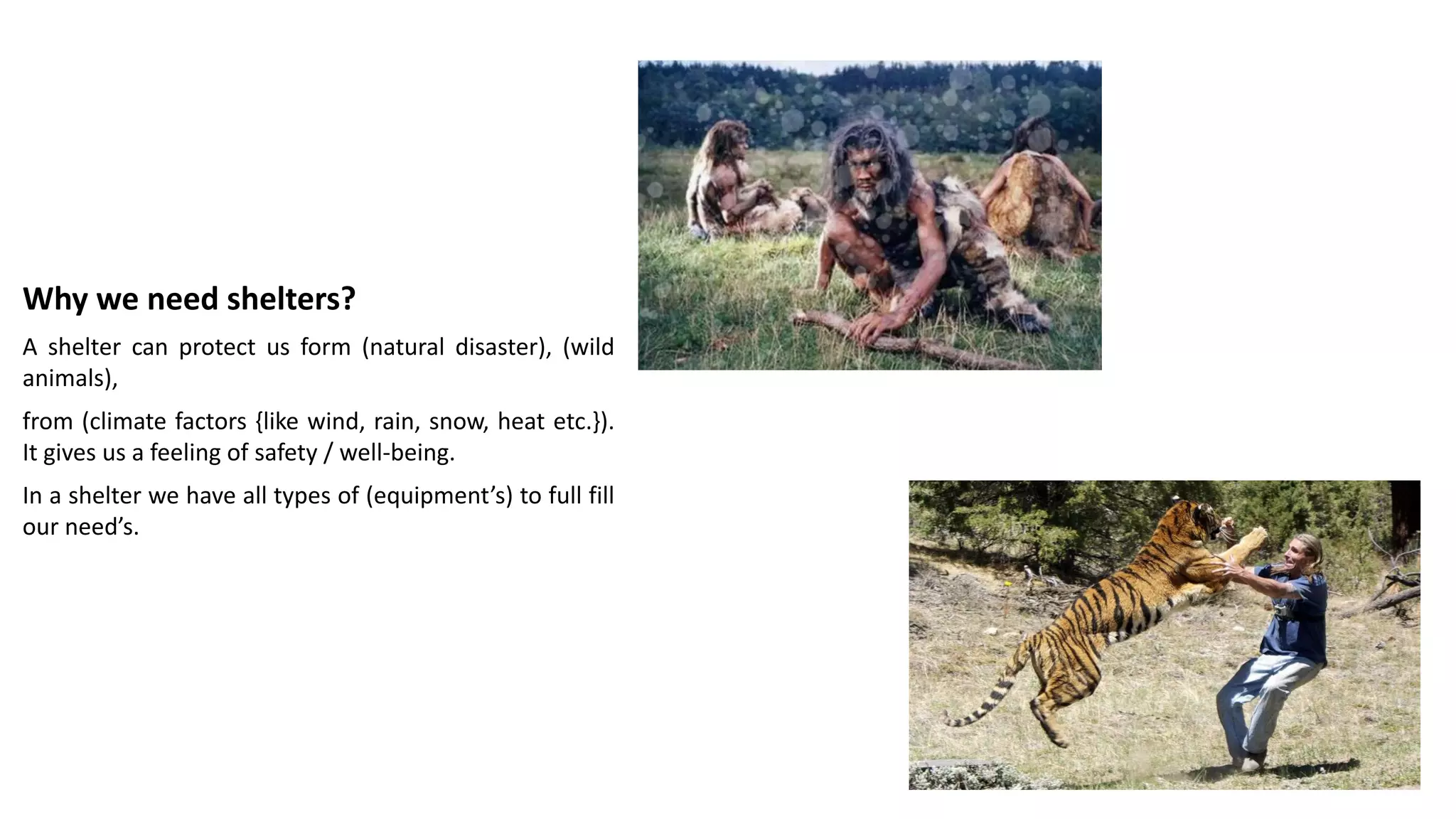 Evolution of shelters | PPTX