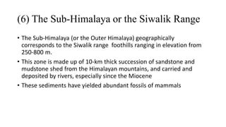 evolution of siwalik.pptx