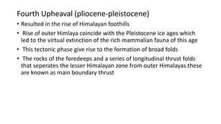 evolution of siwalik.pptx