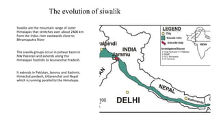 evolution of siwalik.pptx