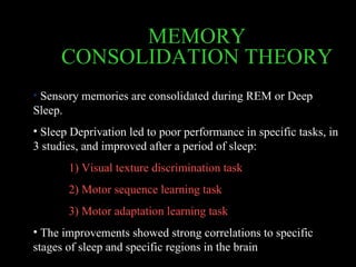 Evolution of sleep | PPT