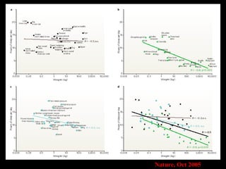 Evolution of sleep | PPT