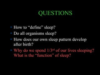 Evolution of sleep | PPT
