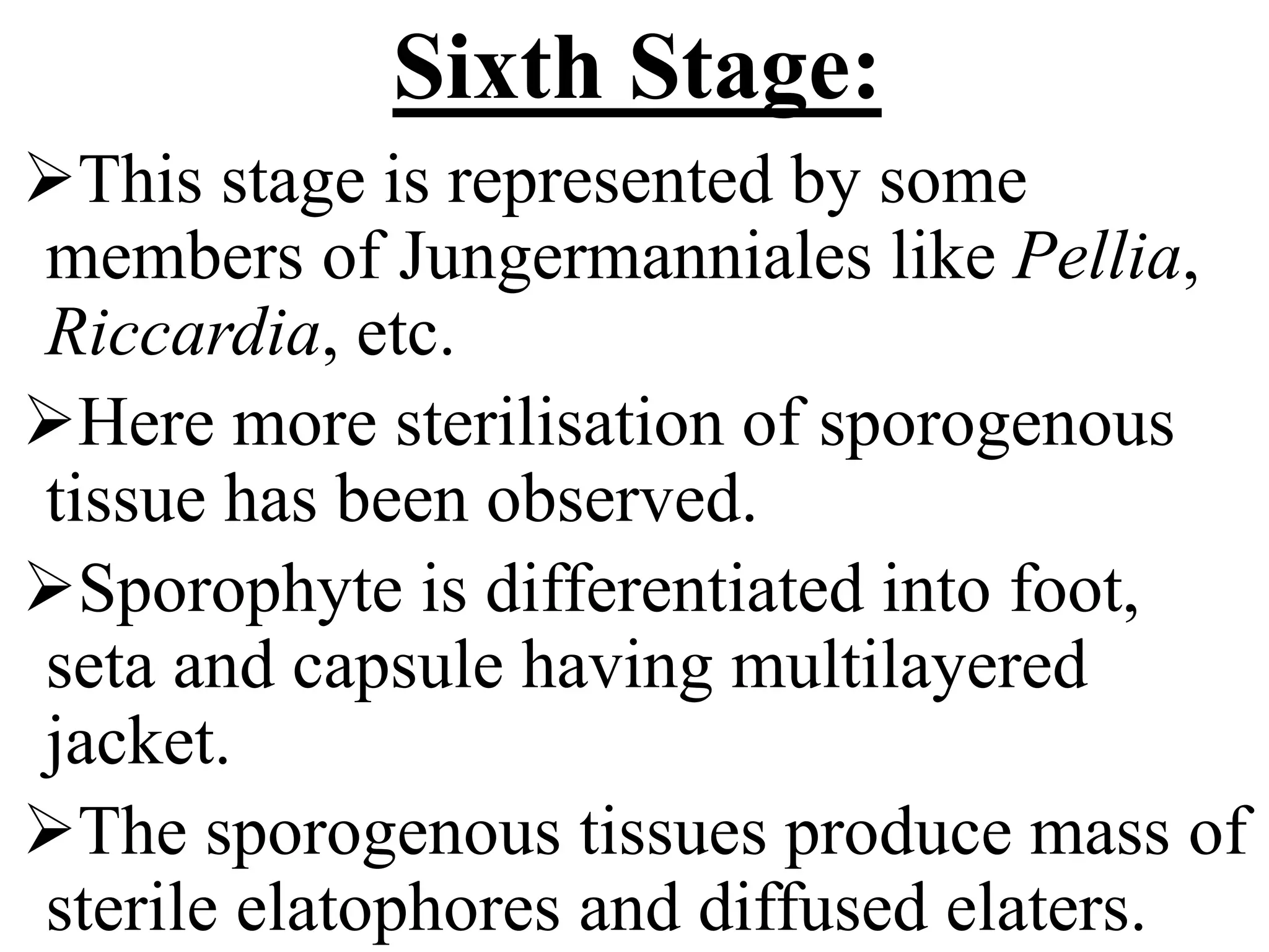 Evolution of sporophyte in bryotphytes | PPTX