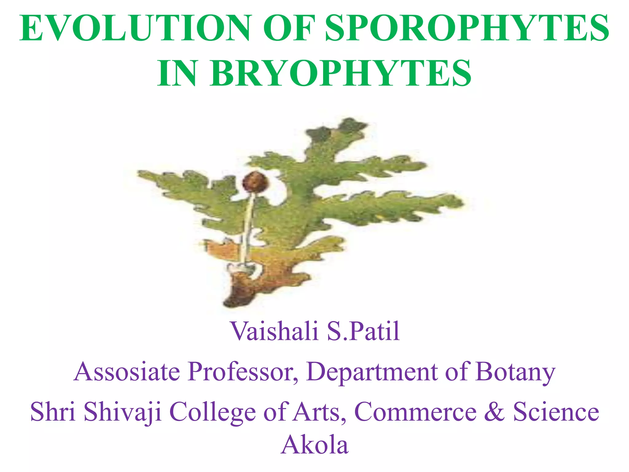 Evolution of sporophytes in bryophytes | PPTX