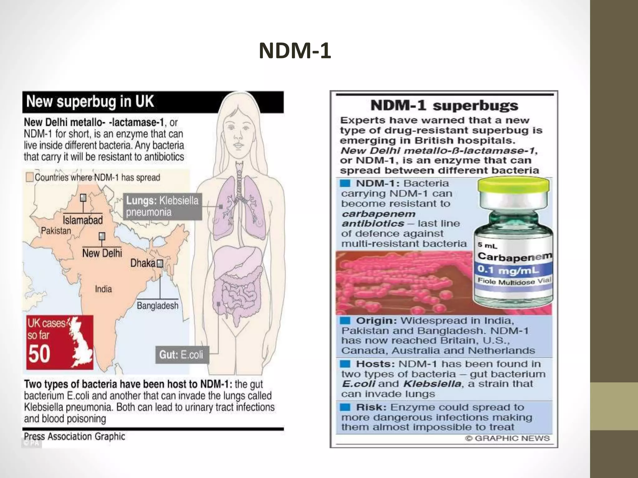 Evolution of superbug | PPTX