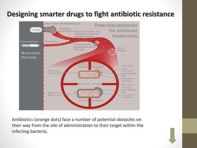 Evolution of superbug | PPTX